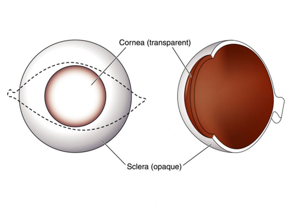 Corneal Transplant Surgery | Mr Amit Patel